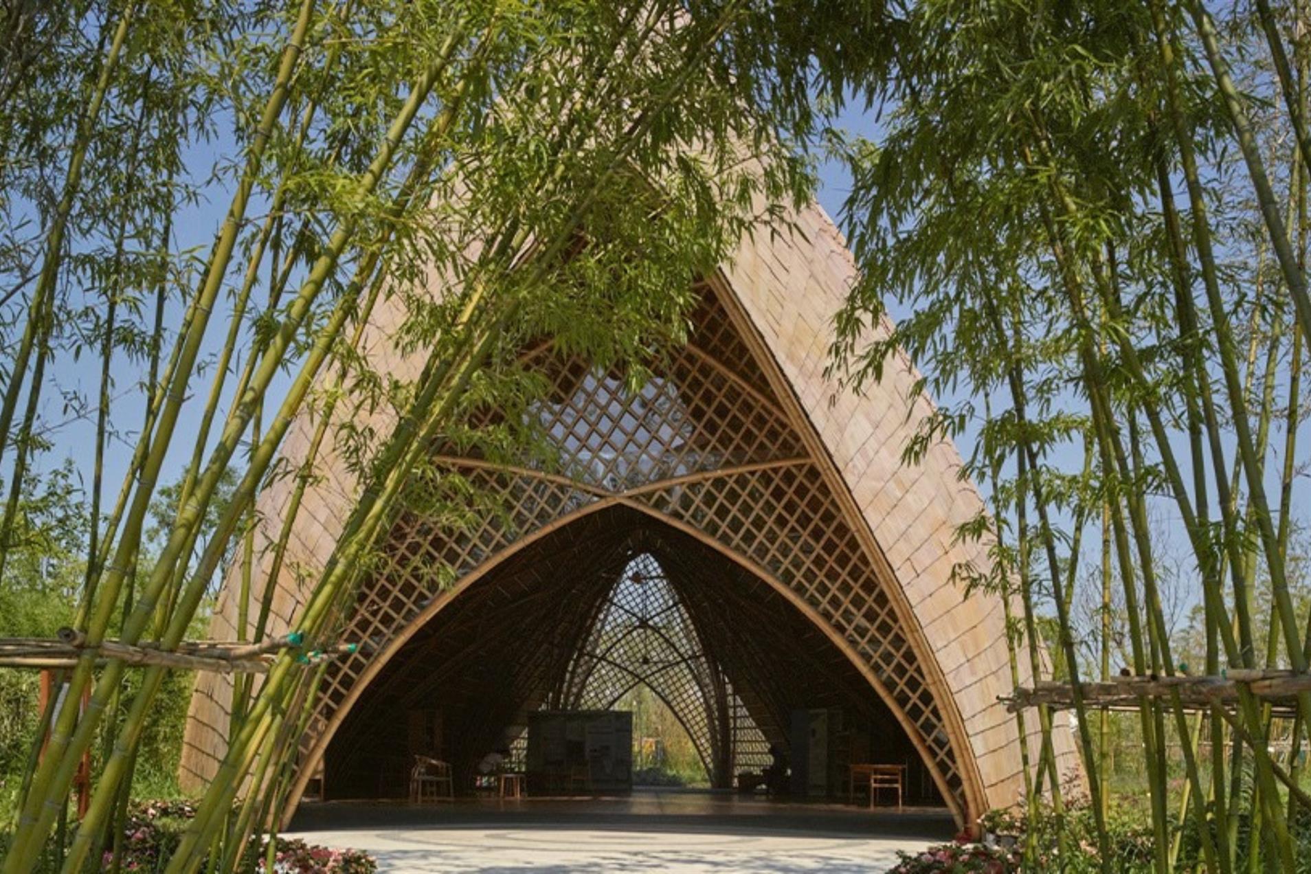 Photo credit : Chu Yingnan