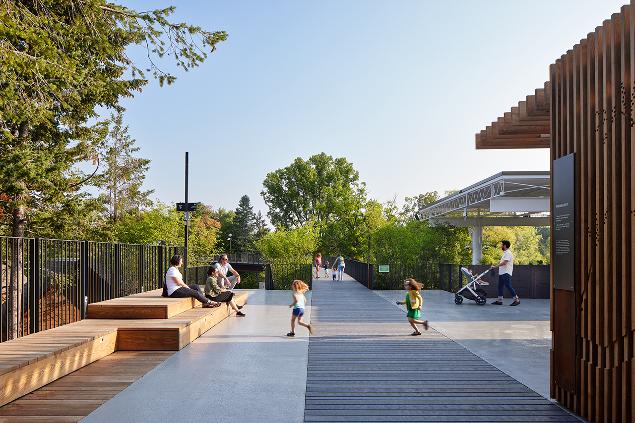 Treetop Trail at the Minnesota Zoo