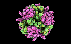 Rapid-acting insulin aspart launched | MIMS online