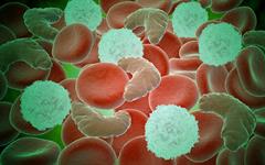 NICE recommends novel treatment for sickle cell disease | MIMS online