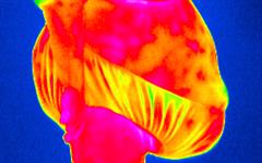 New obesity treatment targets appetite and reward pathways in the brain ...