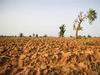 soil_quality_restoration_71