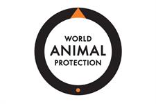 World Society for the Protection of Animals changes its name to World ...