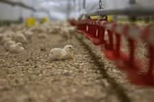 Ductor biogas and CA Cedergren to build biogas plant | ENDS Waste ...