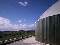 TEG reveals financial woes | ENDS Waste & Bioenergy