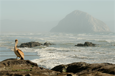 California passes floating offshore wind route-to-market bill ...