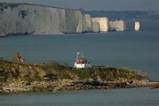 Council requests new Navitus Bay planning application | Windpower Monthly