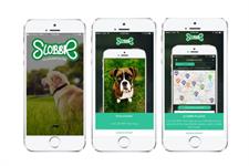 This 5-month-old dog app is snagging partnerships with Shake Shack and ...