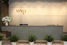 WSP hires new growth leader