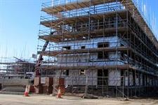 BNG for small sites: What you need to know