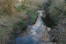 Government commits to boost nature recovery objectives for national parks