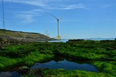Remote island wind must compete with offshore wind prices