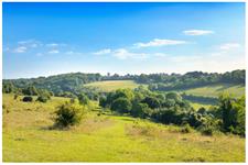 Green belt expands for the first time in eight years | Planning Resource