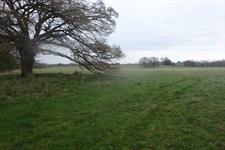 Solar farm landscape harm not justified by assessment of alternatives ...