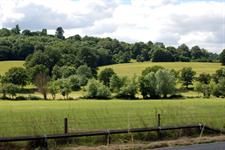 Inspector approves green belt release in Runnymede local plan