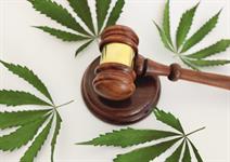 Cannabis im Handel: Was ist erlaubt?