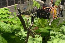 Pflanzenanbau: Ein Gartenroboter mit Profiqualitäten