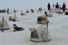 Incentive inspiration: 5 days in Alaska