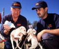 Animal protection group hires for anniversary drive | PR Week UK