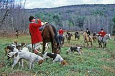 Pro- and anti-fox hunting groups plan 'media blitz' ahead of Commons ...