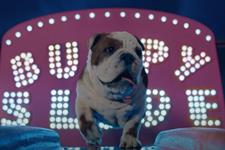 Churchill "Slide" by Engine | Campaign US