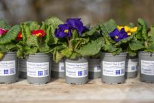 Bluepoint Tags and Labels launch a new range of recycled self-adhesive ...