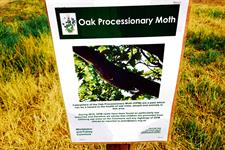 Defra/APHA updates on plant health restrictions and warnings | HortWeek