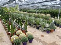Europlants open days raise £3k for Thrive | HortWeek