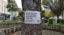 Local elections see conservatives lose nine councils including Plymouth ...