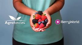What does Agroberries deal mean for BerryWorld’s future? | HortWeek