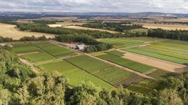 Alba Trees' new hedging packs designed to suit countryside grant system ...