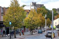 Aerial data helps West Midlands authority inventorise tree stock | HortWeek