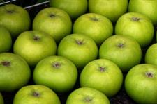 Fourayes stars in new prime-time food programme | HortWeek