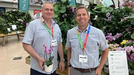 UK peat-free houseplants coming of age | HortWeek