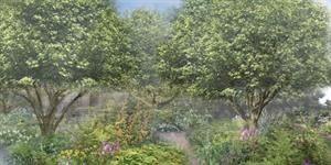 Mark Fane speaks on Crocus, Chelsea and the future | HortWeek