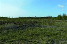 Winner chosen for 43ha Cronton Colliery transformation | HortWeek