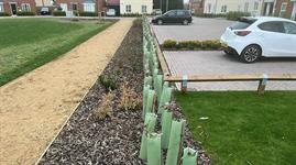 Green-tech supplies materials for tree planting around a new Wimpey ...