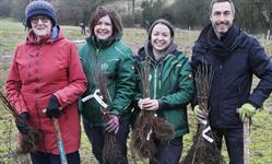 Over 275,000 trees planted in the West Midlands over the last three ...