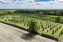 Maelor Forest Nurseries reveals virtual tour of its facilities | HortWeek