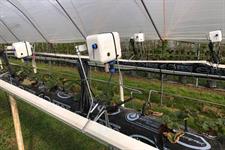 UK crop monitoring startup chosen for international support programme ...