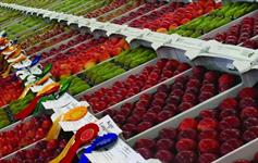 National Fruit Show moves to November to expand into soft fruit | HortWeek