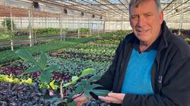 Opperman Plants: nursery visit - GALLERY | HortWeek