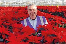 Business Award Winners' Insight for 2020 - Bridge Farm Group | HortWeek