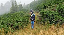 How Kew is building climate resilience into its tree collection | HortWeek