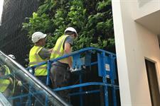Scotscape delivers green wall at first new House of Fraser store in ...