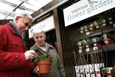 Waitrose plants supply role boosts turnover at Crocus | HortWeek