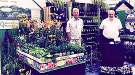 Perennial growers beat sales targets during 'massive' spring | HortWeek