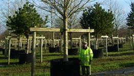 Hillier unveils its new amenity website | HortWeek