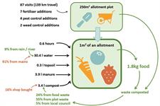 Diary project reveals the true cost of growing food in an allotment ...