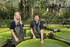 Evesham horticulturist receives major regional apprenticeship prize ...